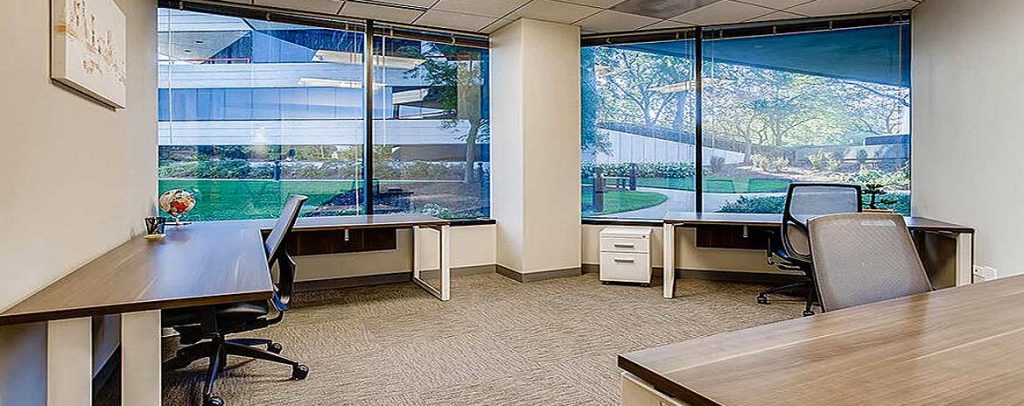 What to Consider When Designing a Green Office - Chicago Broker
